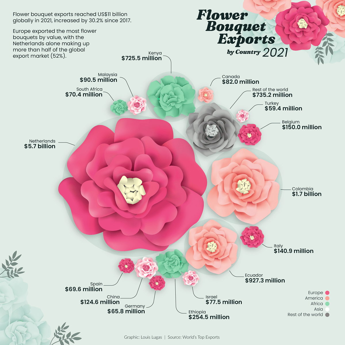 Visualizing the World’s Flower Bouquet Export Market | What Happened to ...